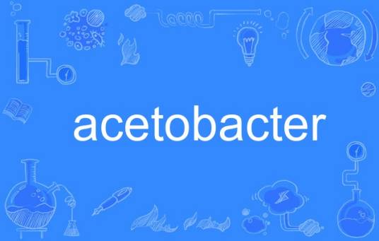 acetobacter_百度百科