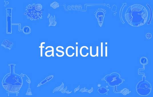 fasciculi_百度百科