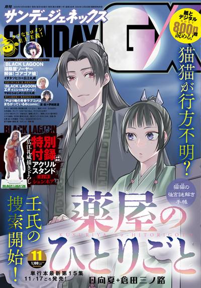 月刊SUNDAY GX_百度百科