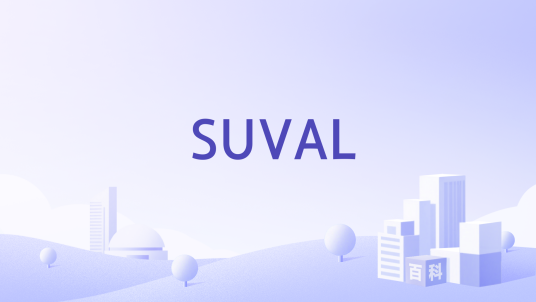 SUVAL_百度百科