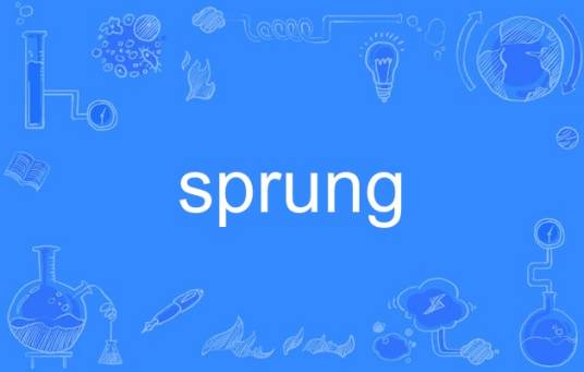 sprung（英语单词）_百度百科