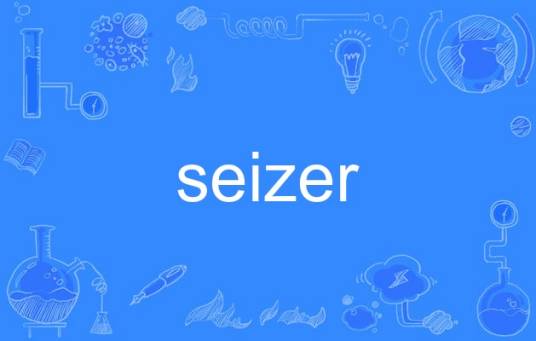 seizer_百度百科