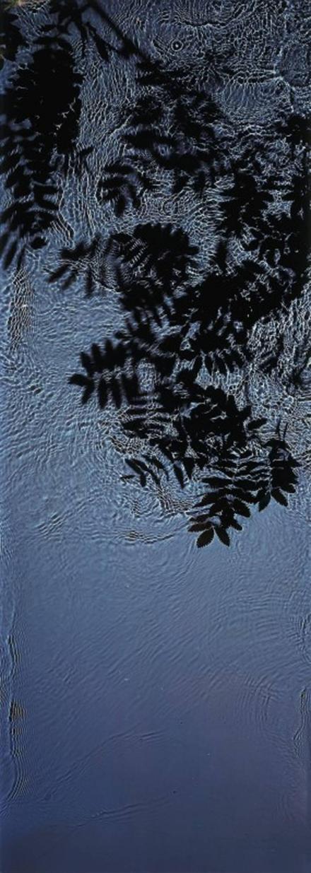 Susan Derges_百度百科