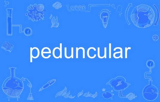 peduncular_百度百科