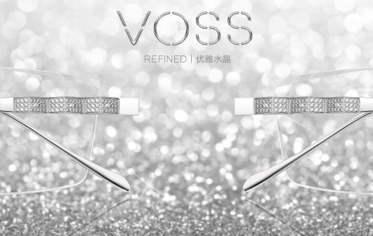 VOSS（眼镜品牌）_百度百科