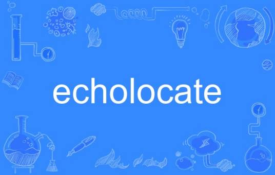 echolocate_百度百科