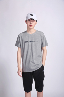 DRYWORLD_百度百科