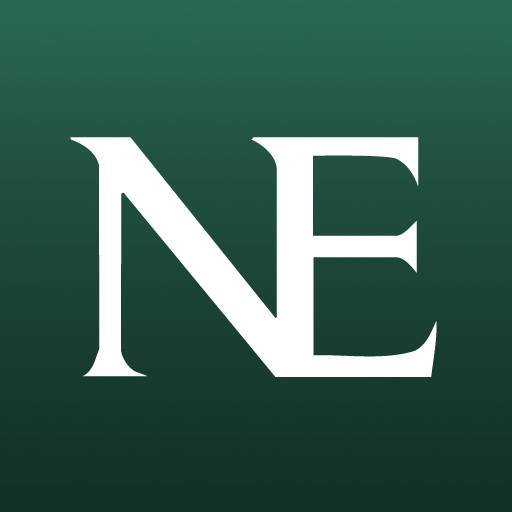 NE（Net Element的缩写）_百度百科