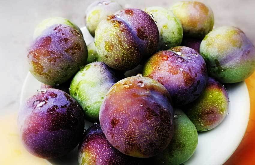 绥江半边红李子_百度百科