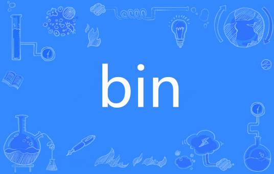 bin（英语单词）_百度百科