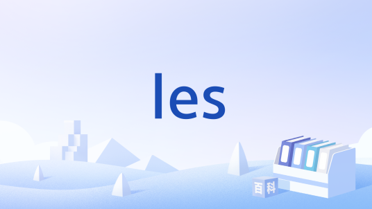les（法语单词）_百度百科