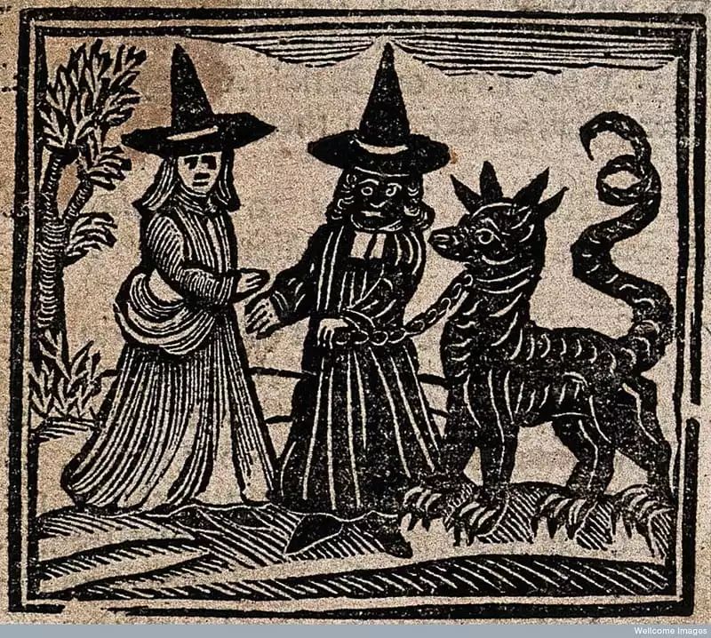 你不知道的女巫形象进化简史_百科TA说