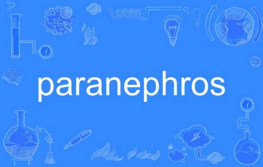 paranephros_百度百科