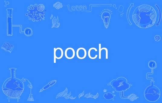 pooch（英语单词）_百度百科