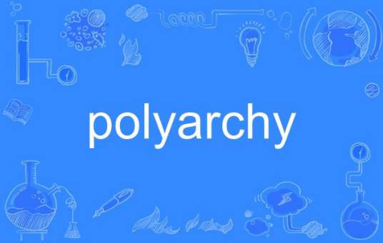 polyarchy_百度百科