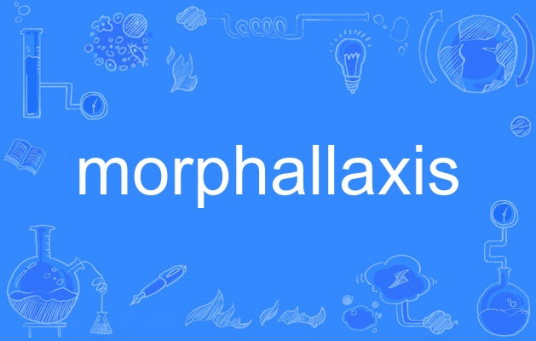 morphallaxis_百度百科