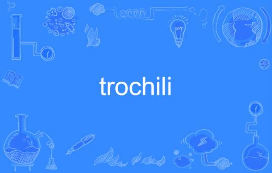 trochili_百度百科