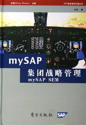 mySAP集团战略管理_百度百科
