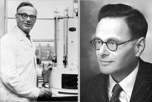 他“玩拼图”玩出诺贝尔奖，打脸曾经拒绝他论文的《Nature》_百科TA说