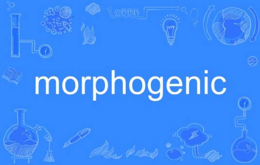 morphogenic_百度百科