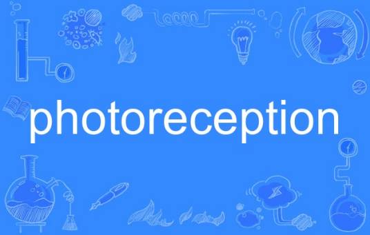 photoreception_百度百科
