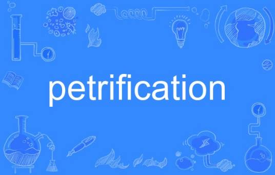petrification_百度百科