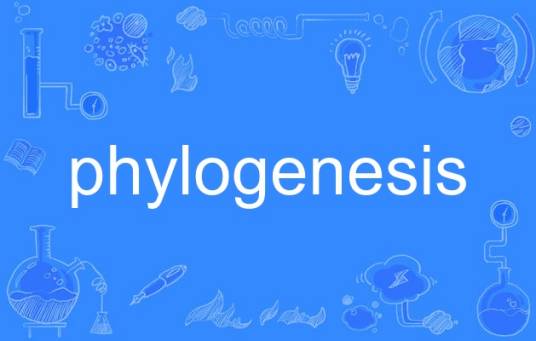 phylogenesis（英语单词）_百度百科