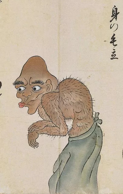 妖怪图鉴：化物尽绘卷_百科TA说