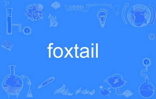 foxtail_百度百科