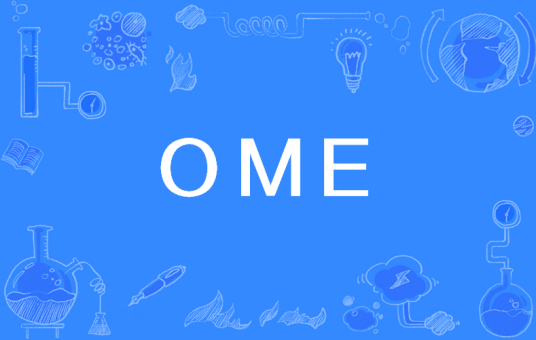 OME（2008年刘庭煜等人提出的组织挖掘引擎）_百度百科