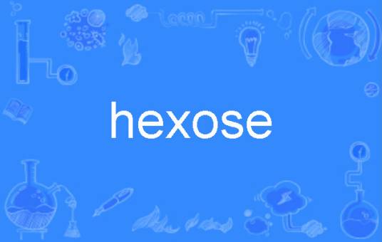 hexose_百度百科