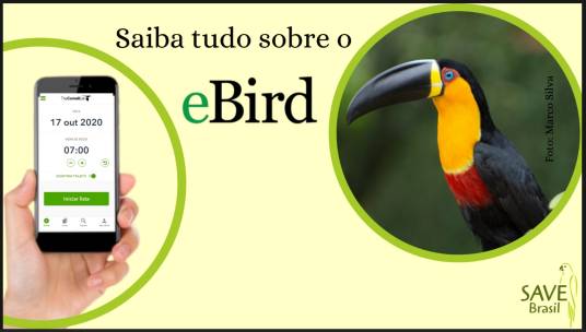 eBird_百度百科