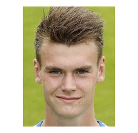 斯特莱尔曼_百度百科