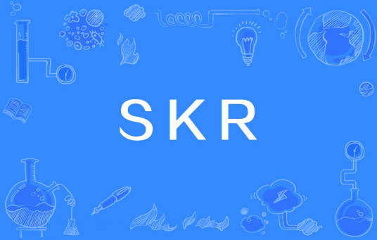 SKR（网络用语）_百度百科