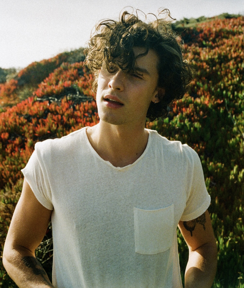 Wonder（2020年肖恩·蒙德兹发行的音乐专辑）_百度百科