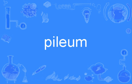 pileum_百度百科