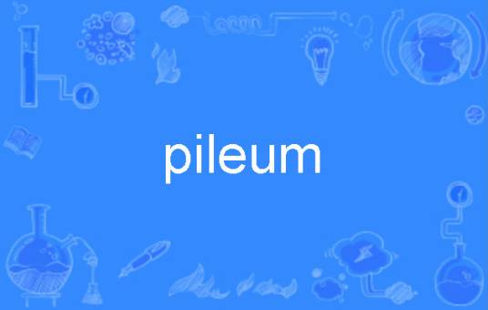 pileum_百度百科