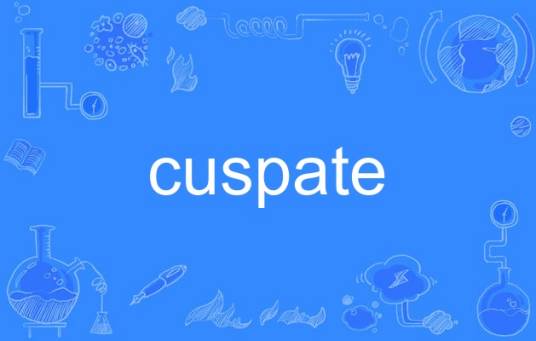 cuspate_百度百科