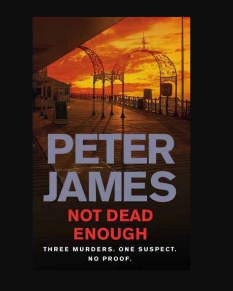 Not Dead Enough（2007年Pan Books出版的图书）_百度百科