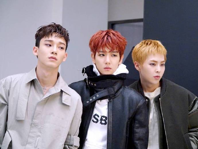 EXO-CBX_百度百科