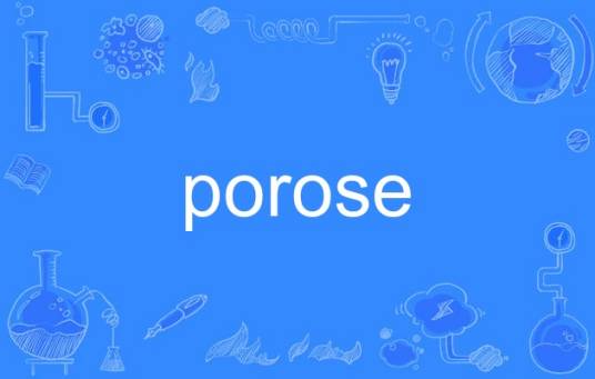 porose_百度百科