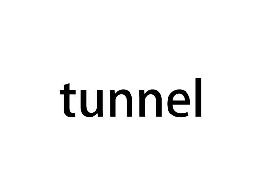 tunnel（网络协议）_百度百科