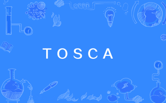 TOSCA（软件）_百度百科