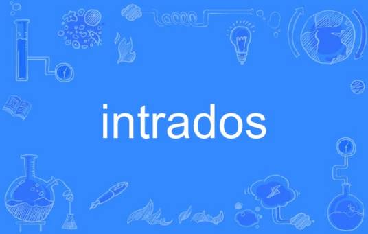intrados_百度百科