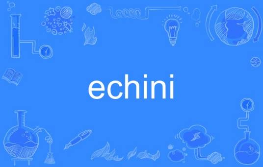 echini_百度百科
