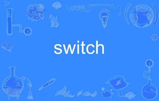 switch（英语单词）_百度百科
