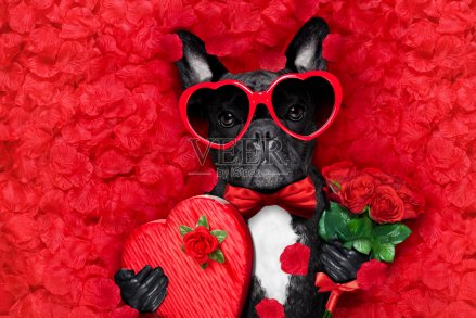 Veer（Veer图库）_百度百科