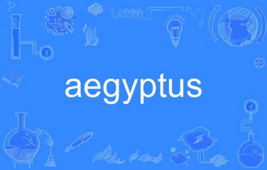 aegyptus_百度百科