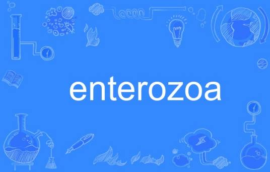 enterozoa_百度百科