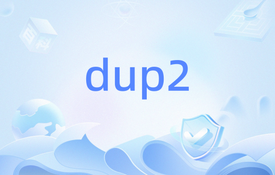 dup2_百度百科